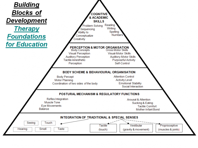 Building Blocks – Therapy Foundations for Education